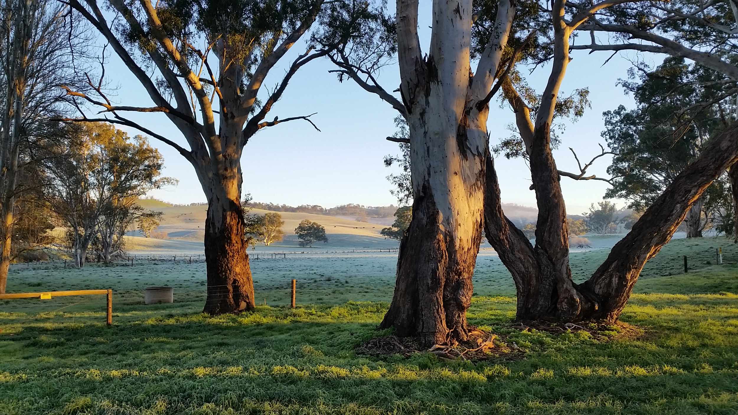 Medical Centre Gumeracha, Lobethal - Gum Medical